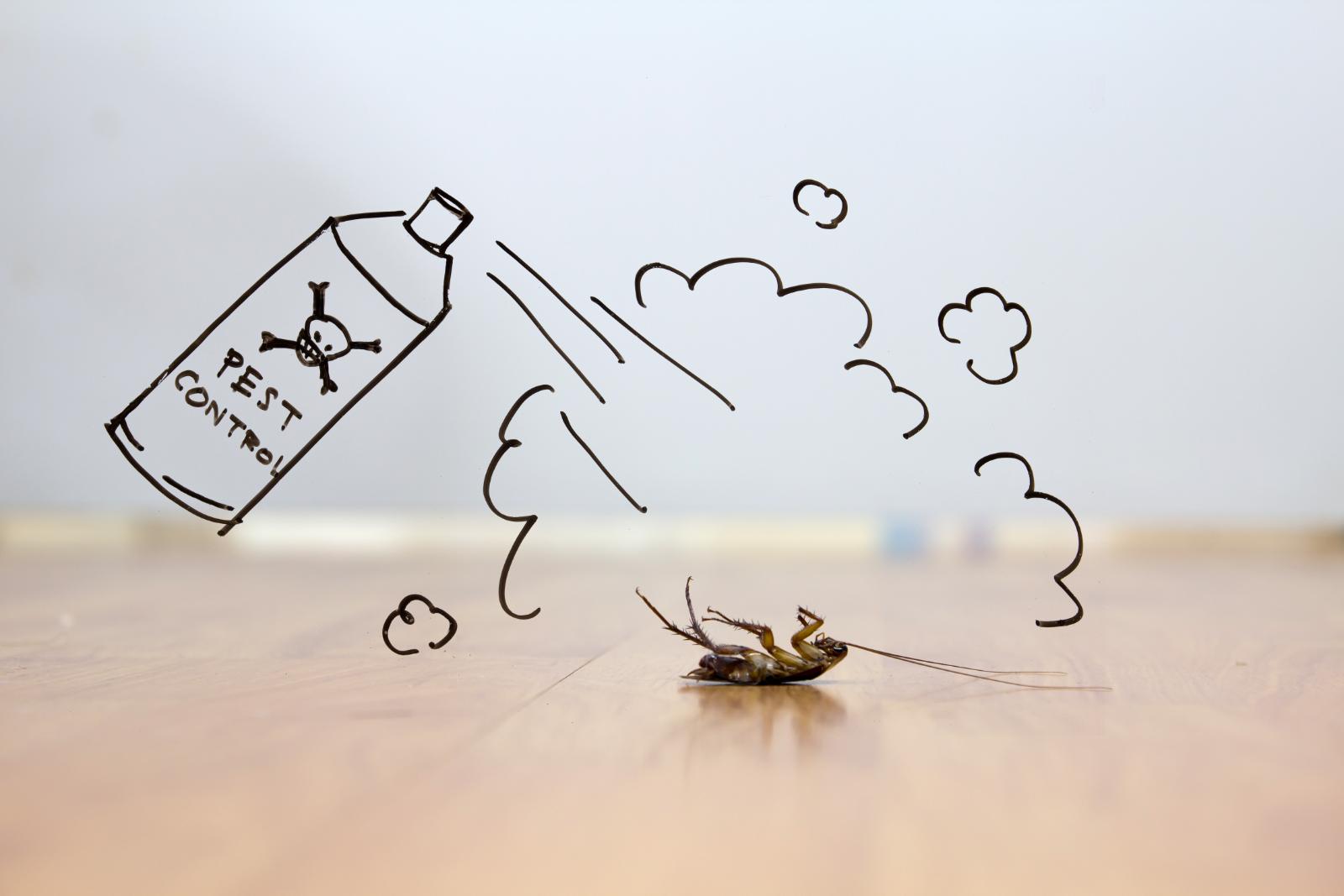7 Best Indoor Ant Control Solutions for Homes | Van Den Berge Pest Control