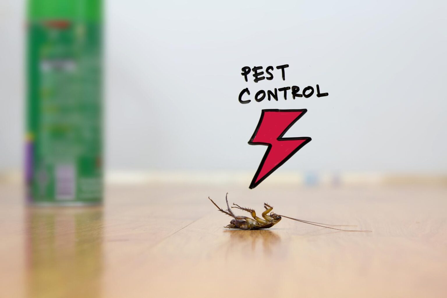 10 Best Mice Removal Strategies for Apartments | Van Den Berge Pest Control