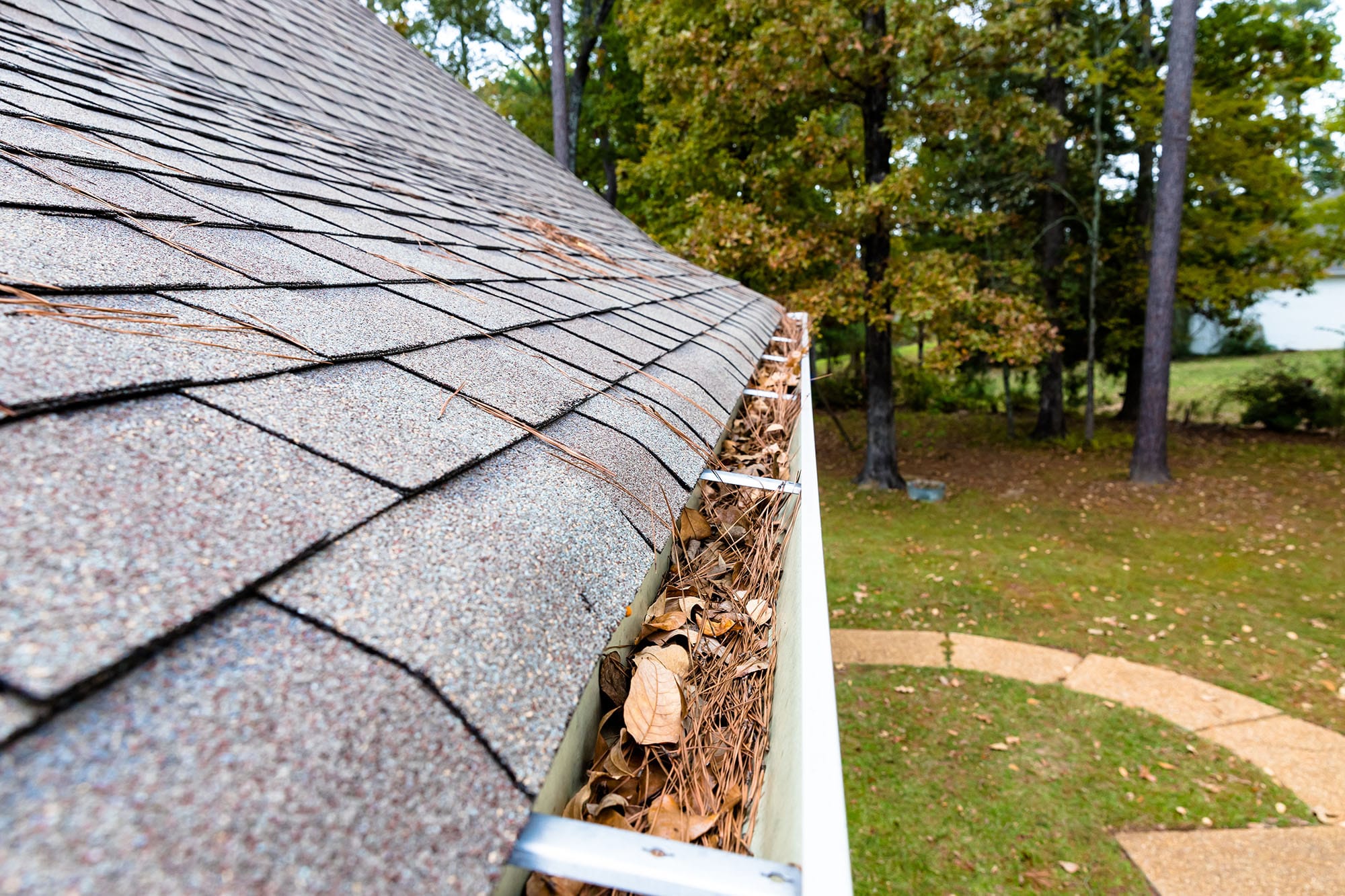 Yes, There Are Pests Hiding in Your Gutters | Van Den Berge Pest Control