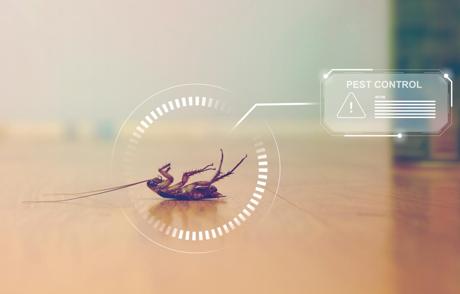 12 Common Household Pests: Inspection Prevention Treatment | Van Den ...