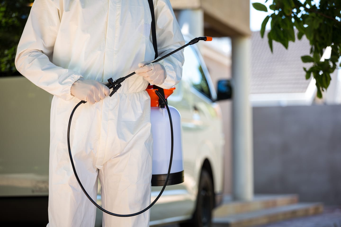 Debunking Even More of the Most Common Pest Control Myths | Van Den ...